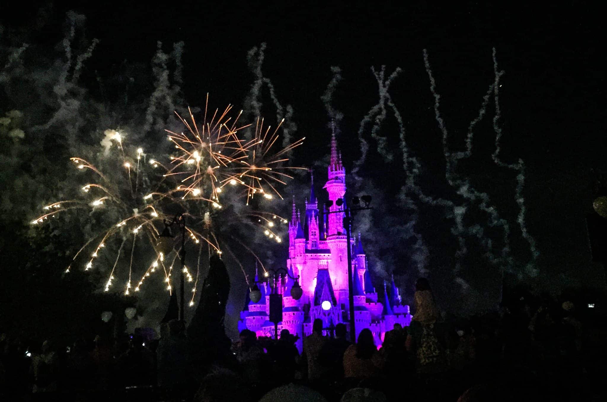Quick and Dirty Guide to Disney for Childless 30 Somethings – Traveler ...